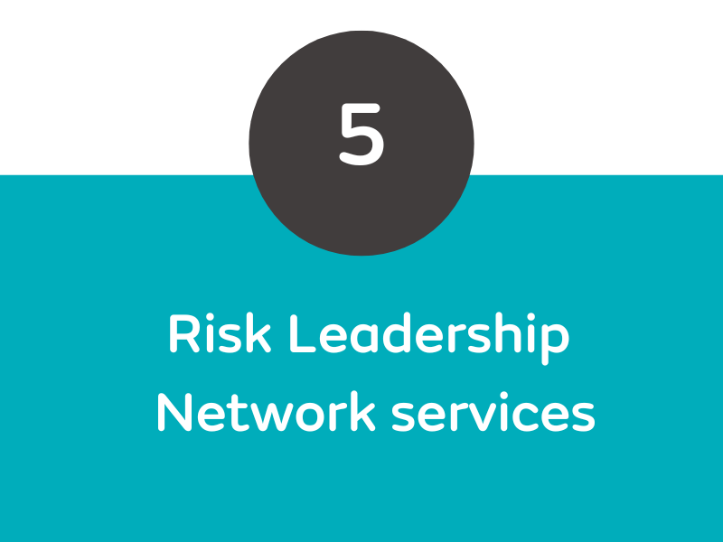 Introducing an enhanced approach to Emerging Risk Maturity Models