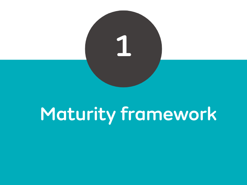 Introducing an enhanced approach to Emerging Risk Maturity Models