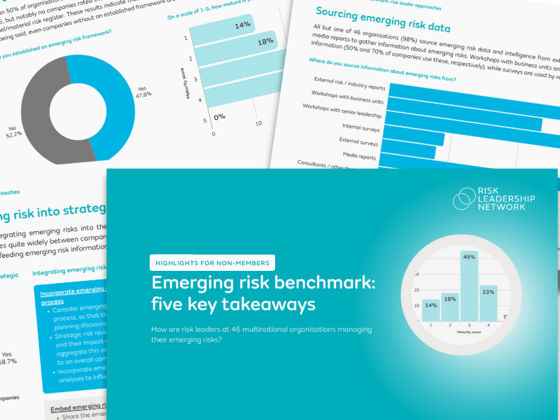 Download | Four steps to establish a risk champion network